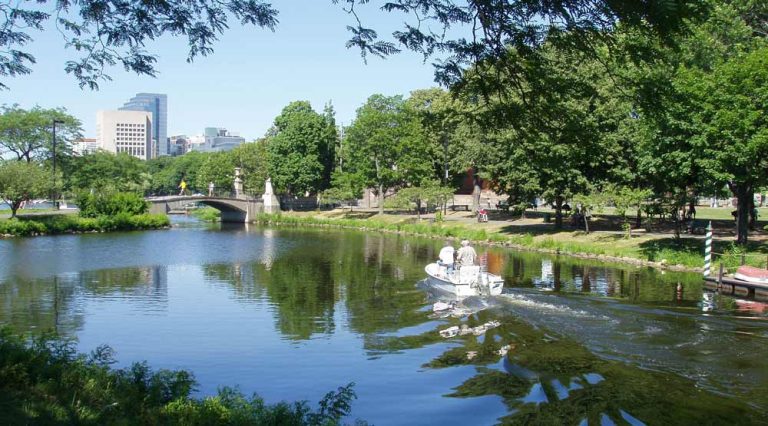 11 Best Things To Do in Wellesley MA - Creative Travel Guide